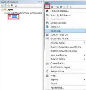 ArcGIS Attribute Table - How to Open Attribute Table in ArcGIS - GISRSStudy