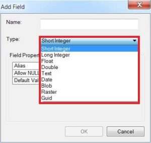 ArcGIS Field Data Types - DBMS Data Types - GISRSStudy